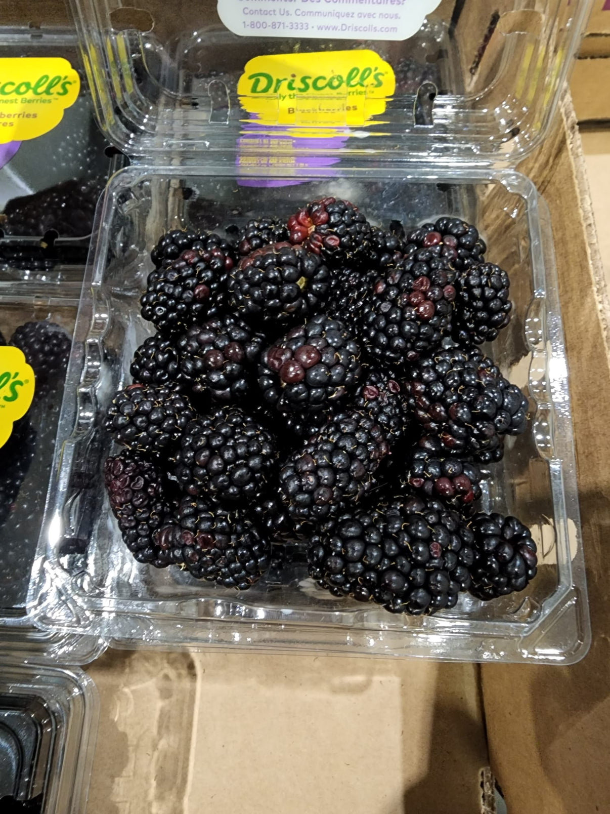 Ugly Driscoll Blackberry 125g(Bursting)